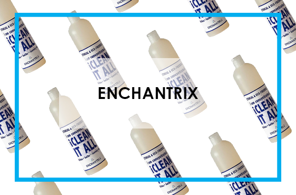 enchantrix-3 – St Francis of Assisi Parkview